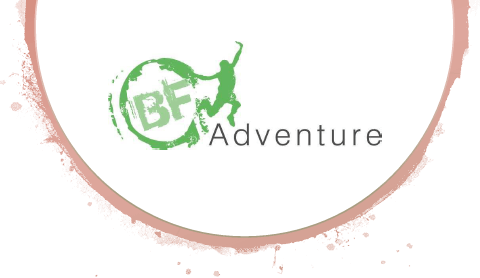 Supporting Community – The BF Adventure Charity Ball and Auction ...